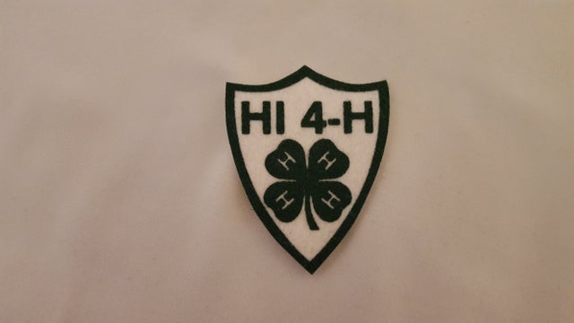 HI 4-H Emblem (No. 45)